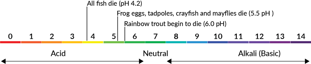 Water Composition: Berkeley Pit Ph Levels | Water | PitWatch